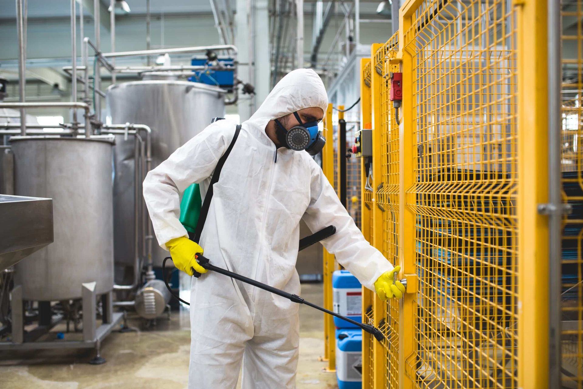 Pest Control Company | Pest Control Services Amman Jordan