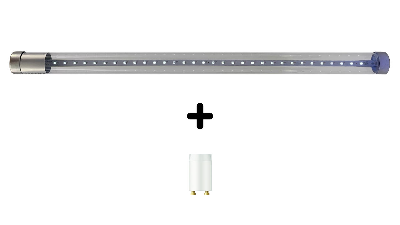 Top 7 Factors to Consider When Choosing Flying Insect Traps | Amman